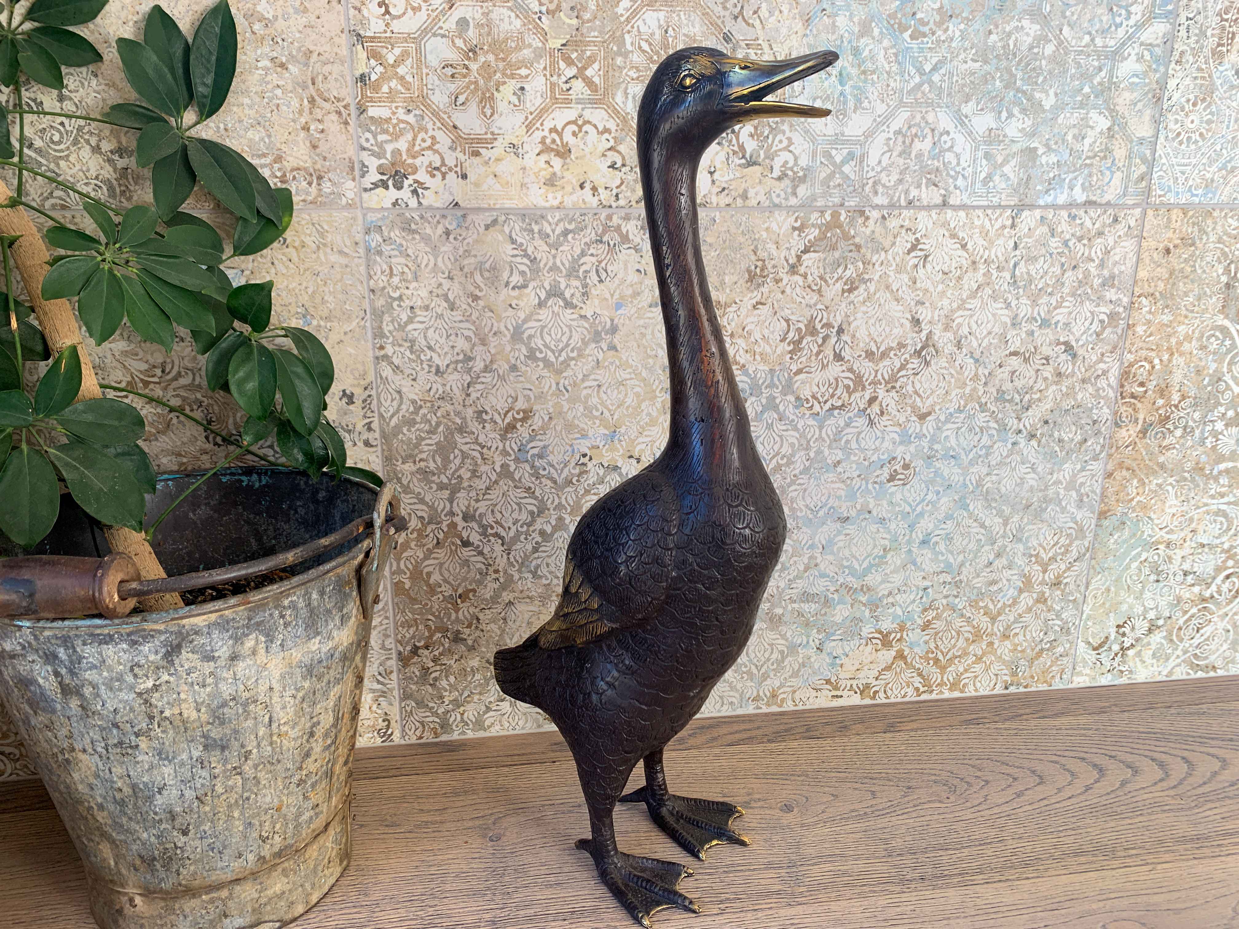 Runner Duck